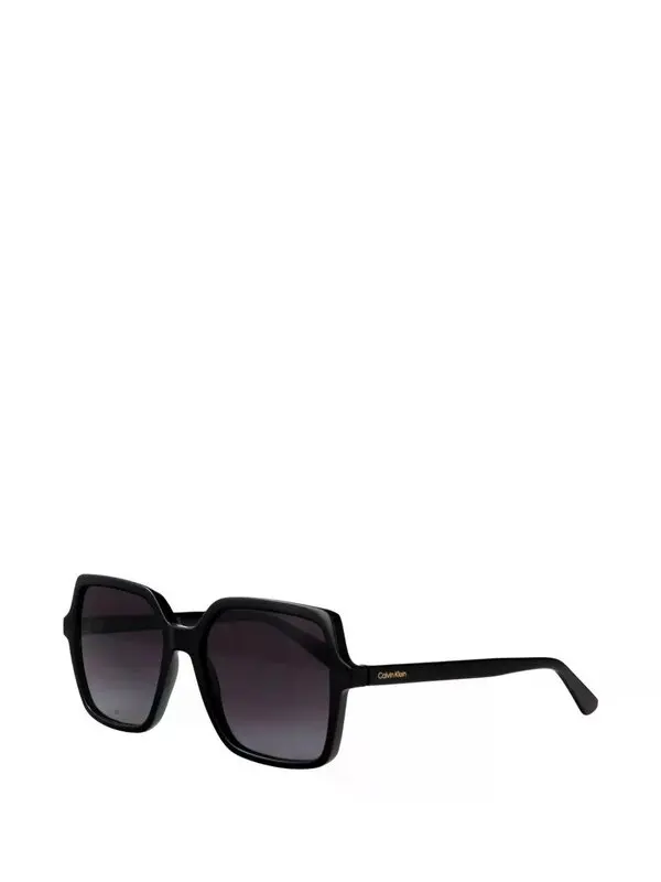 Calvin Klein Butterfly Geometric-frame Sunglasses - Black