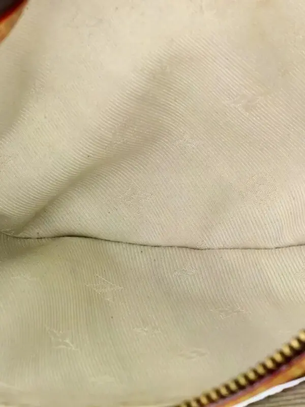 LOUIS VUITTON Monogram Canvas Belt Bag