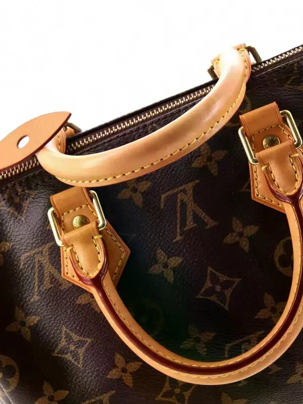 LOUIS VUITTON Speedy Handbag Monogram Canvas 25 Satchel
