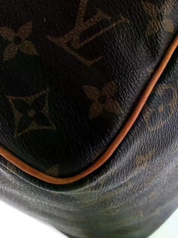 LOUIS VUITTON Speedy Handbag Monogram Canvas 25 Satchel