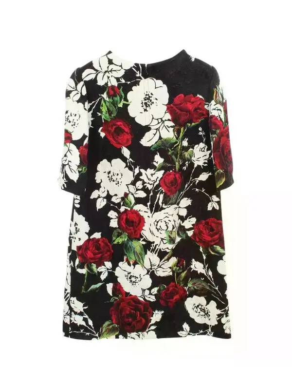Dolce & Gabbana Floral-print Mini Dress