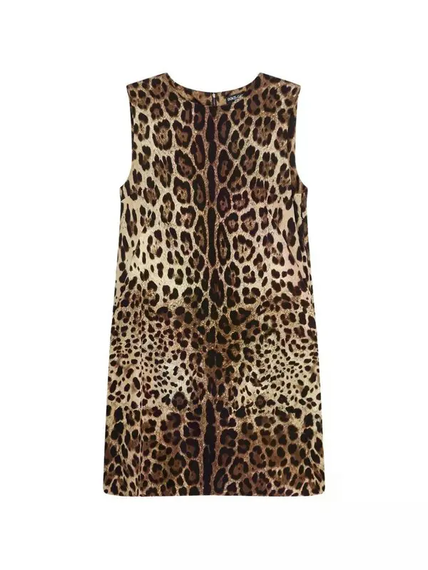 Dolce & Gabbana Leopard-print Sleeveless Dress - Neutrals