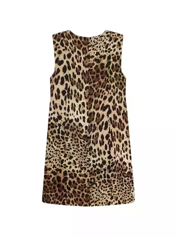 Dolce & Gabbana Leopard-print Sleeveless Dress