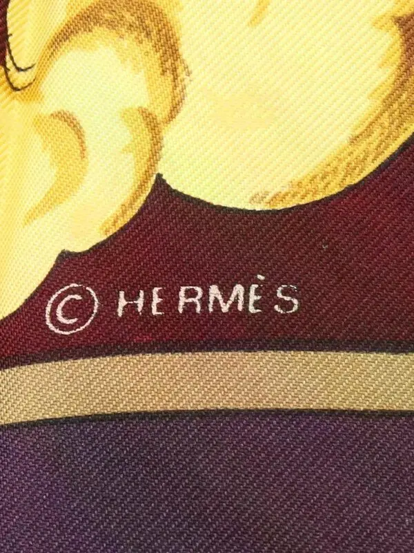 Hermès 2010s Cosmos Scarf