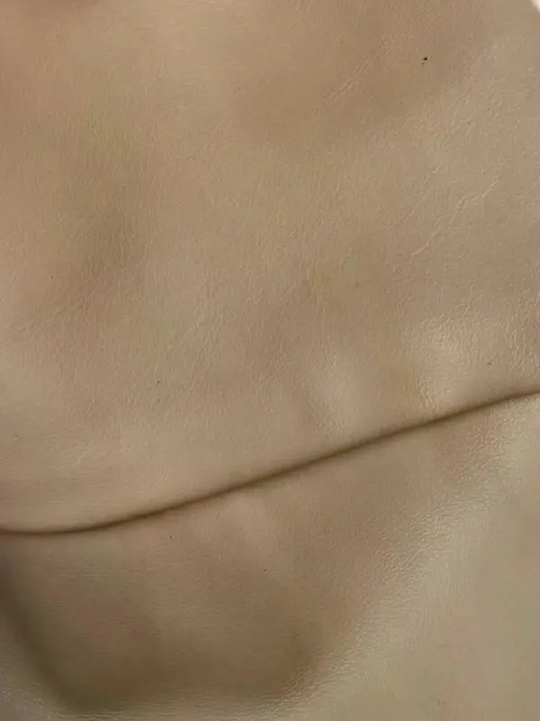 Bottega Veneta The Chain Pouch Leather Shoulder Bag