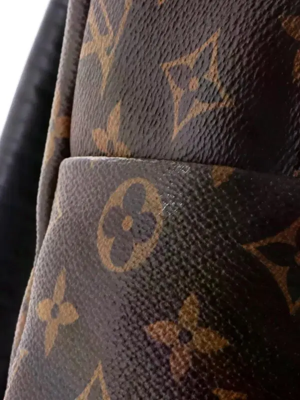 LOUIS VUITTON Palm Springs Monogram Canvas Pm Backpack