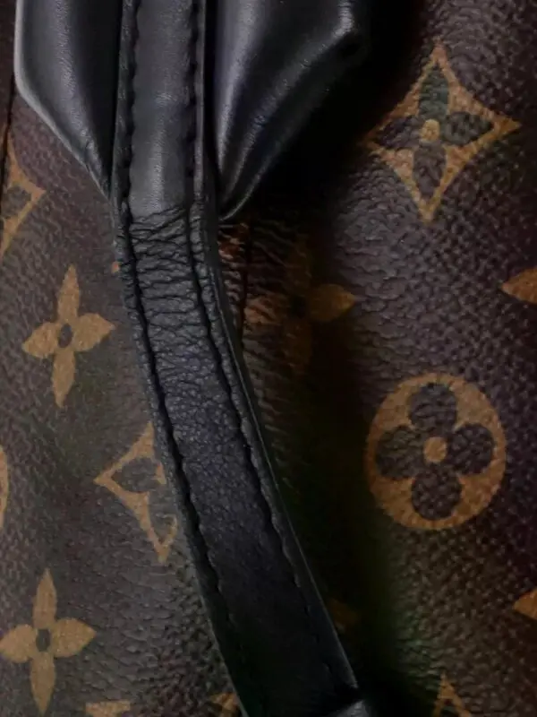 LOUIS VUITTON Palm Springs Monogram Canvas Pm Backpack