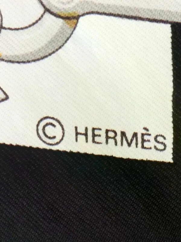 Hermès 2010s Cliquetis Scarf