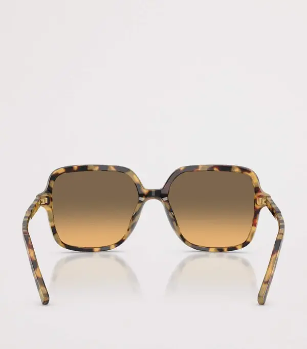 Dolce & Gabbana Acetate Dg4539 Square Sunglasses