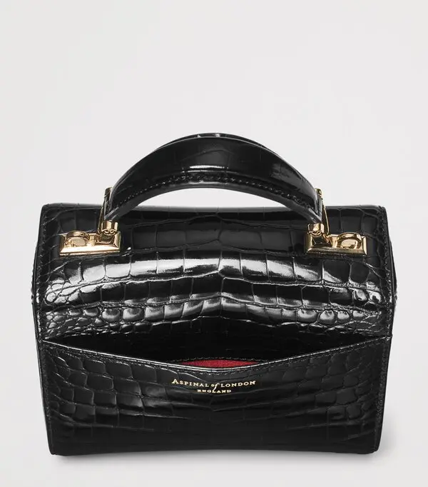 ASPINAL OF LONDON Mini Leather Mayfair Top-handle Bag