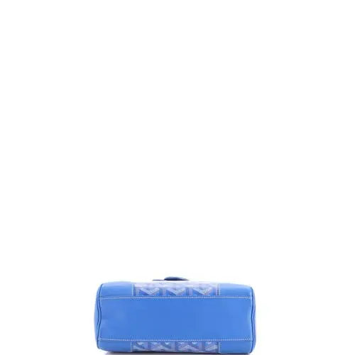 Goyard Saigon Top Handle Bag Coated Canvas With Leather Mini