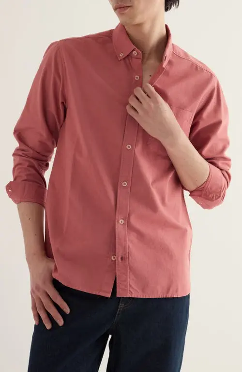 SEASALT CORNWALL Jenken Garment Dyed Organic Cotton Oxford Shirt - Rose Dew