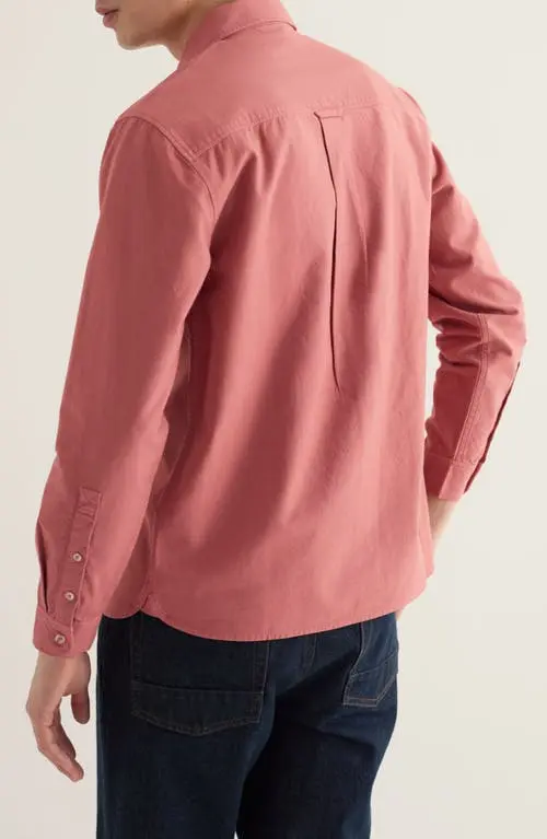 SEASALT CORNWALL Jenken Garment Dyed Organic Cotton Oxford Shirt - Rose Dew