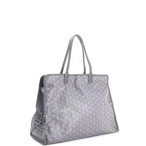 Goyard Hardy Pet Carrier Coated Canvas Pm