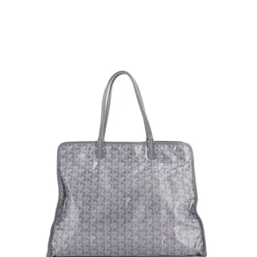 Goyard Hardy Pet Carrier Coated Canvas Pm