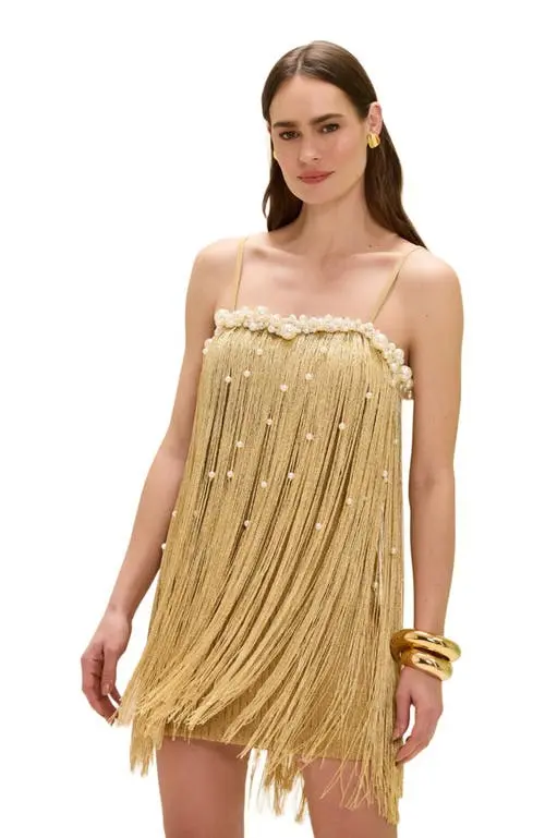 PatBO Aurea Crochet Mini Dress