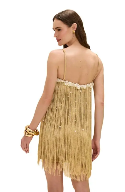 PatBO Aurea Crochet Mini Dress