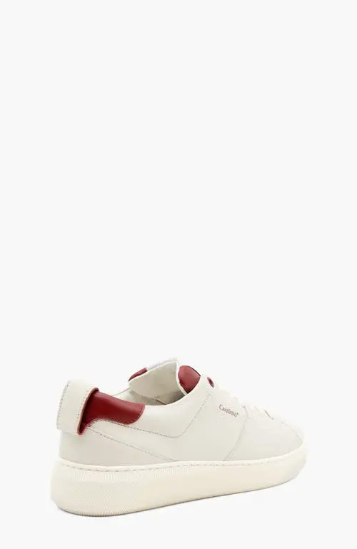 CAVALINHO Club Leather Low Top Sneakers - Beige/red