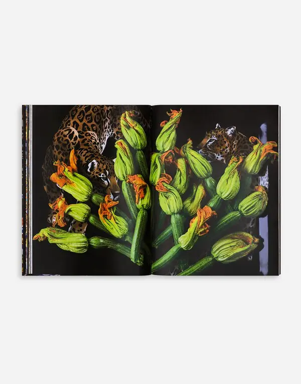 Dolce & Gabbana La Sicilia In Cucina Hardcover Book