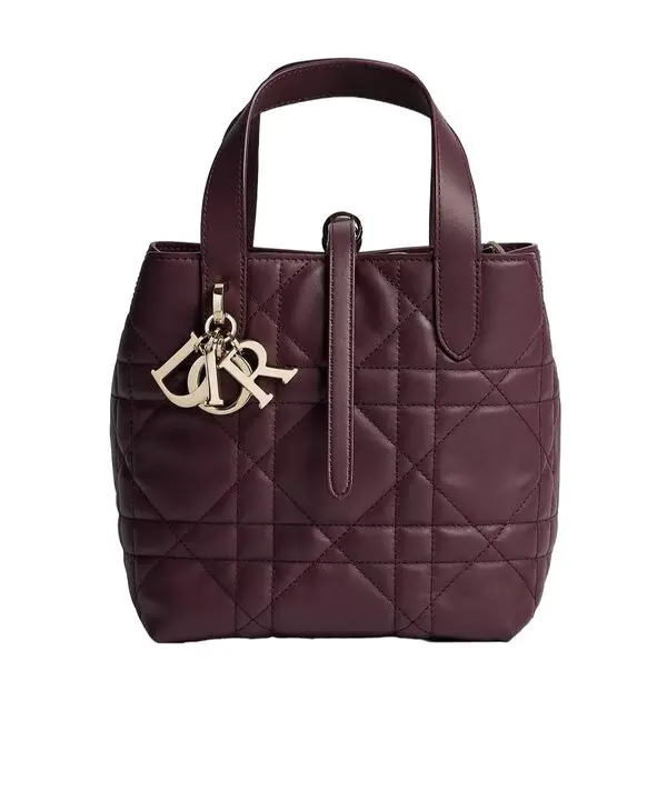 Dior Small Toujours Vertical Tote Bag