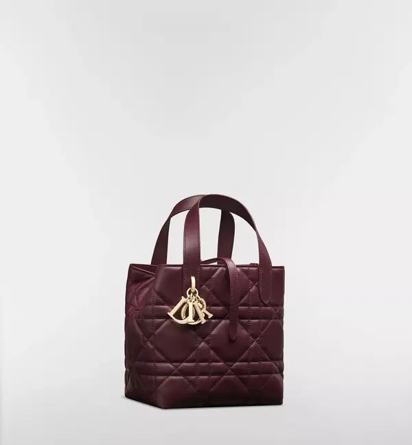 Dior Small Toujours Vertical Tote Bag