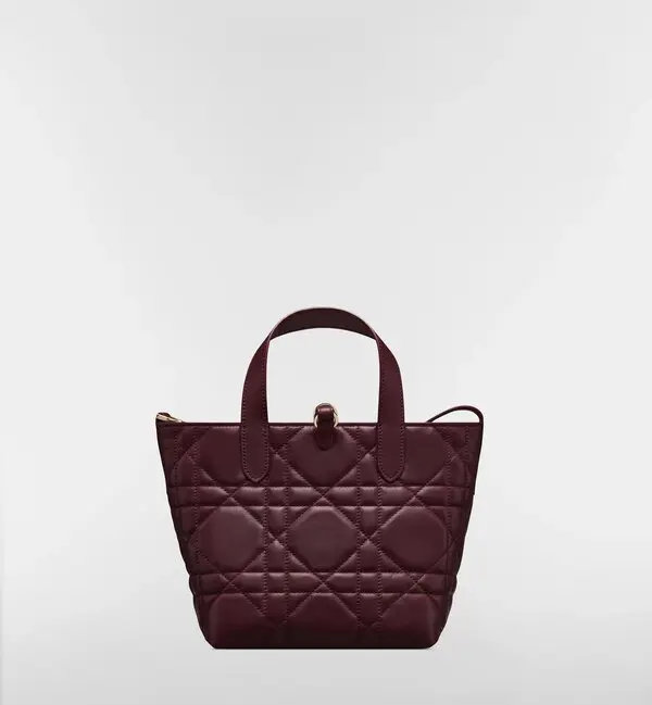 Dior Small Toujours Vertical Tote Bag