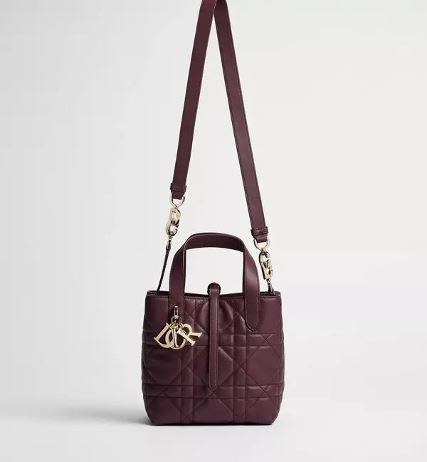 Dior Small Toujours Vertical Tote Bag