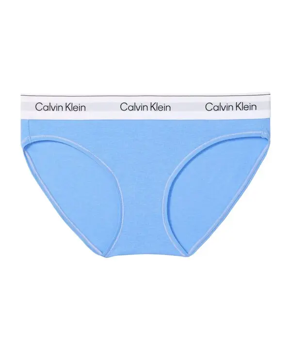 Calvin Klein Solid Color Briefs