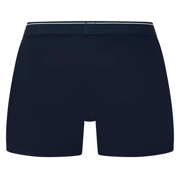Hugo Boss Boxer Briefs