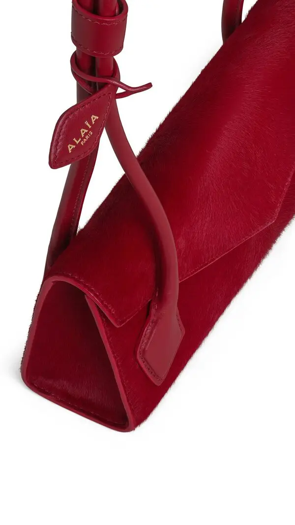 Alaïa Le Teckel Flap Small Bag In Haircalf
