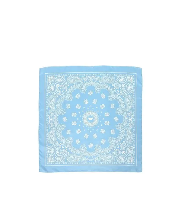 Max Mara Patterned Silk Scarf - Blue