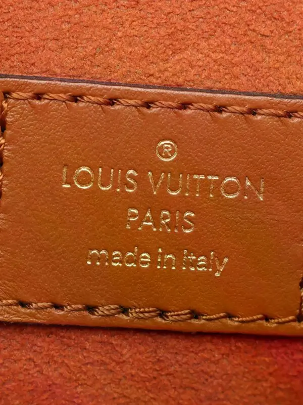 LOUIS VUITTON 2021-2026 Raffia Saint Jacques Tote Bag