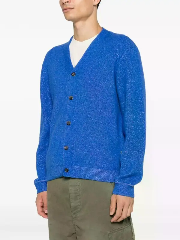 JW Anderson V-neck Button-up Cardigan
