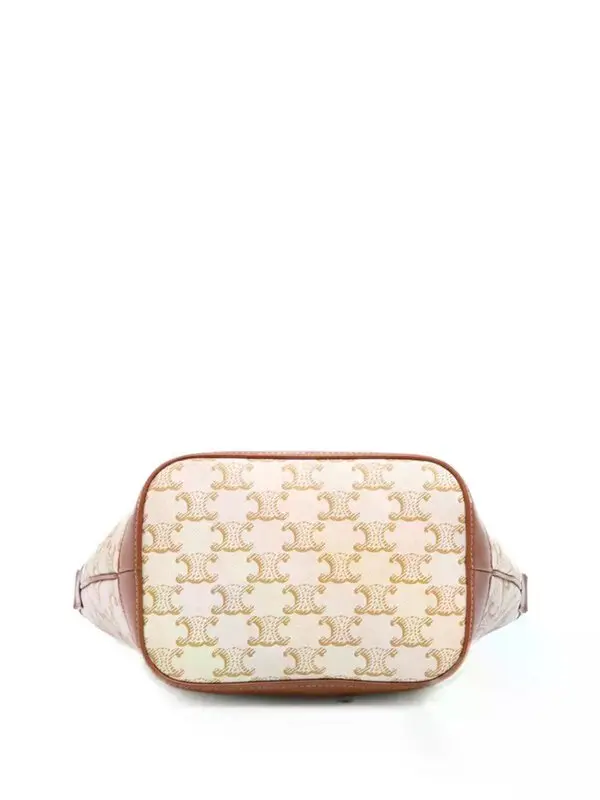 Celine 2023 Small Triomphe Coated Canvas Bucket Bag