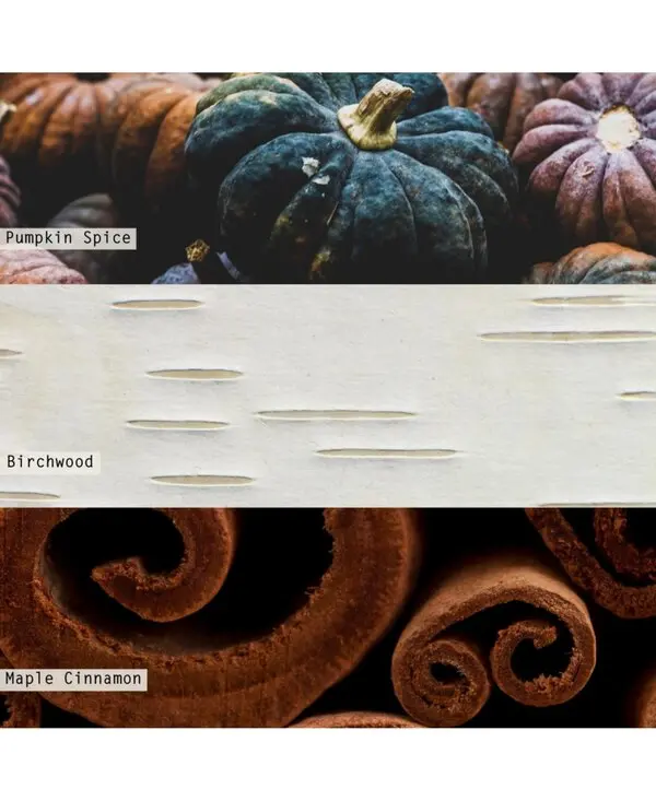 ILLUME Midnight Pumpkin Mercury Pumpkin Candle, 8.6 Oz