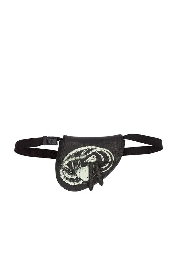 Dior X Cactus Jack Mini Saddle Bag