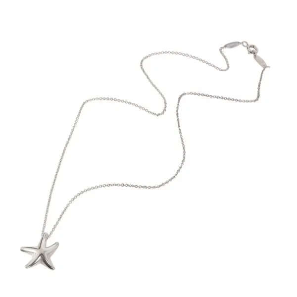 Tiffany & Co. Sterling Silver Elsa Peretti Starfish Pendant