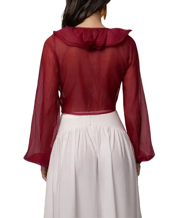 JLUXLABEL Delilah Ruffled Sheer Tie-front Top