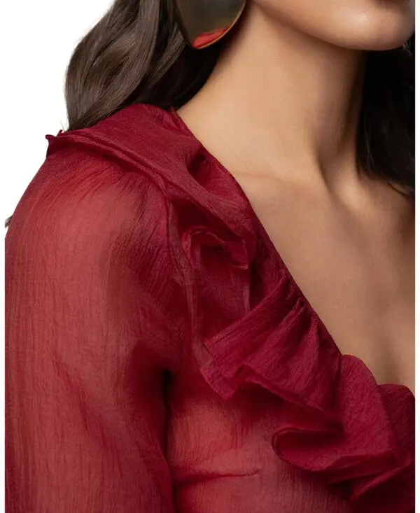 JLUXLABEL Delilah Ruffled Sheer Tie-front Top