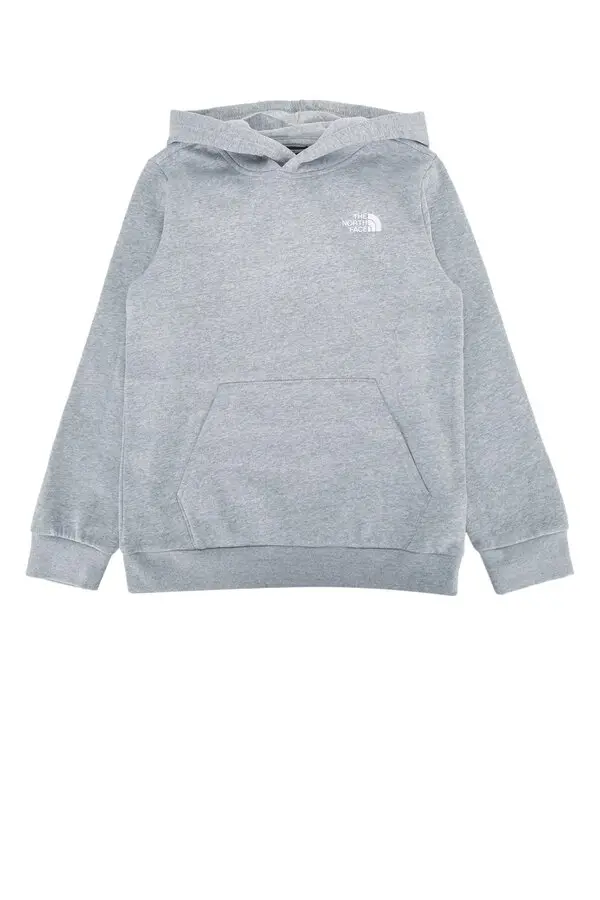The North Face Evolution Pullover Hoodie Sweatshirt - Cqo1