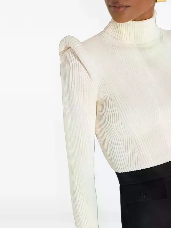 Elisabetta Franchi Knit Turtleneck Top With 3d Details