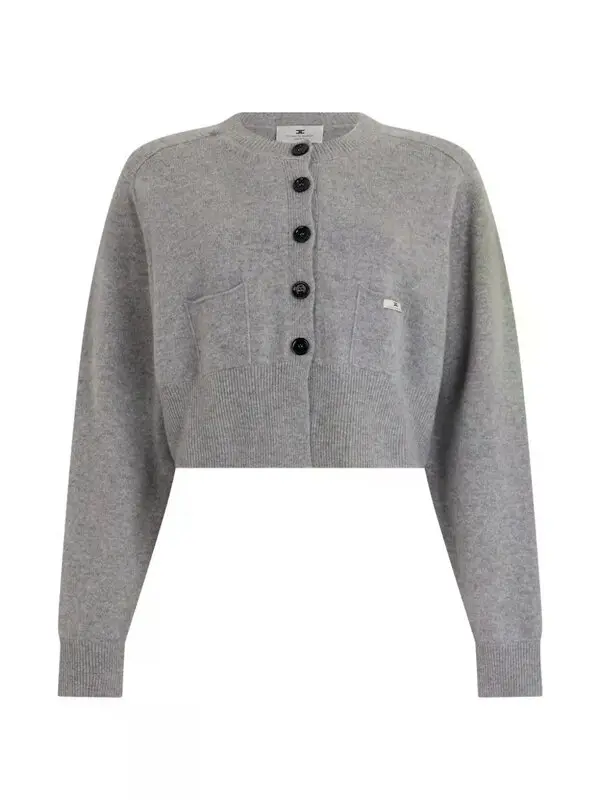 Elisabetta Franchi Wool And Cashmere Cardigan - Grey