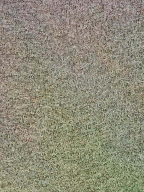 PURSCHOEN Frayed-edge Scarf