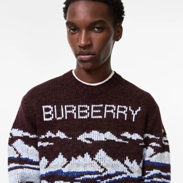 Burberry Alpine Wool Sweater - Brown