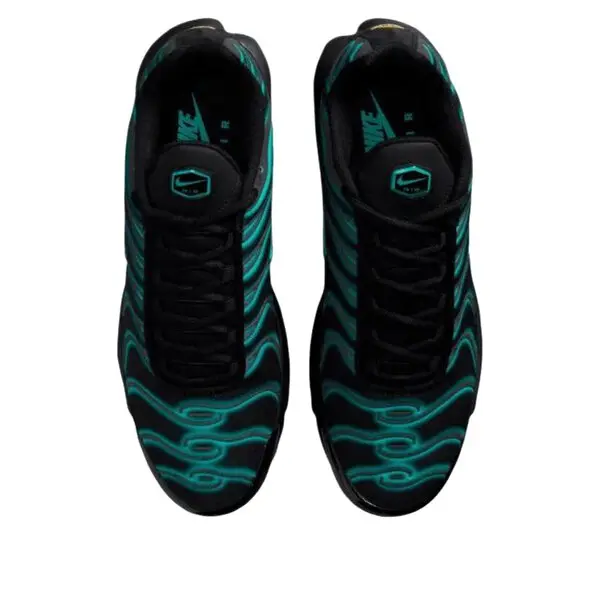 Nike Max Plus 'black Dusty Cactus - Black/dusty Cactus