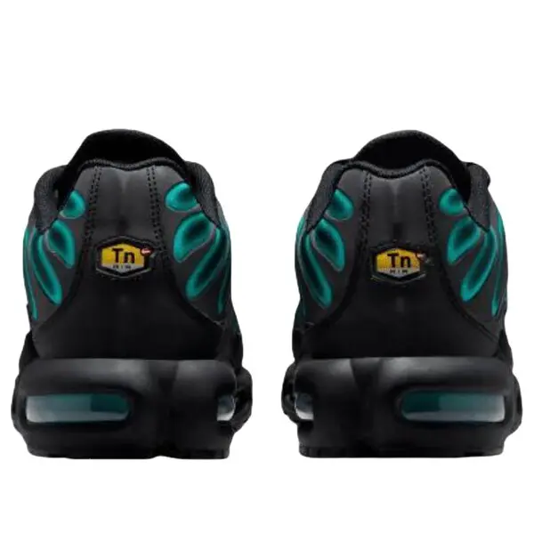 Nike Max Plus 'black Dusty Cactus - Black/dusty Cactus