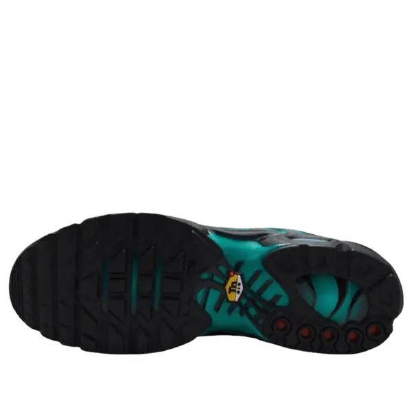 Nike Max Plus 'black Dusty Cactus - Black/dusty Cactus