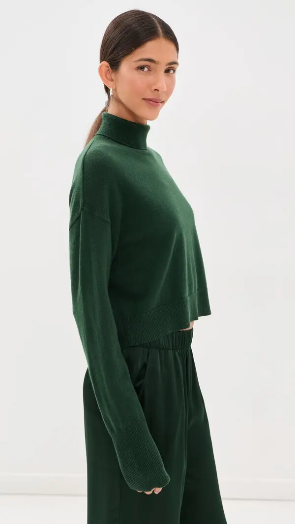 Sablyn Sable Turtleneck Cashmere Sweater