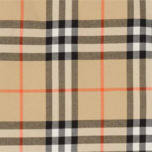 Burberry Cotton Check Shirt