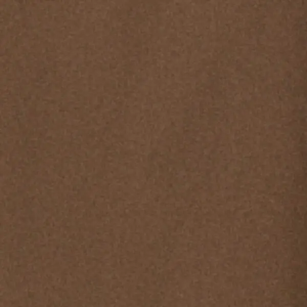 Loewe Drawstring Hem Shirt